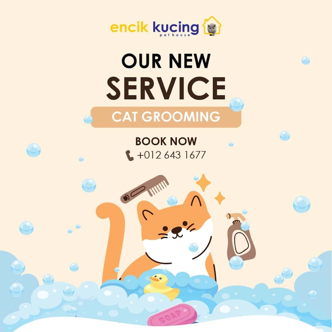9 Kedai Kucing Putrajaya - JALDAYAT.COM